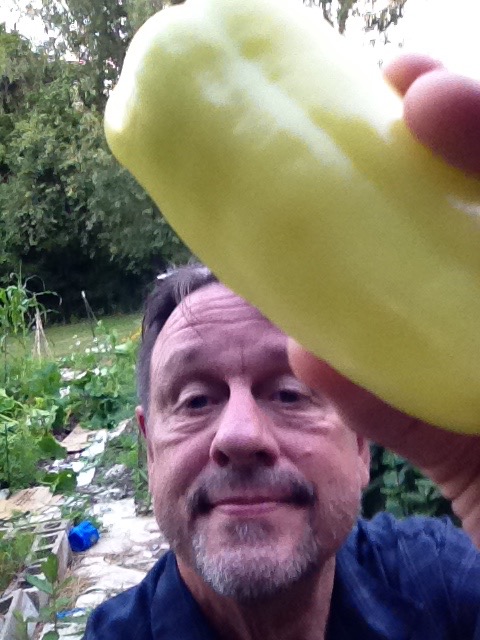 Daniel Bourne – Bloodroot Literary Magazine